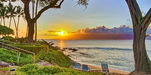 Lahaina Vacation Condo Resort | Napili Surf Beach Resort | Castle Resorts